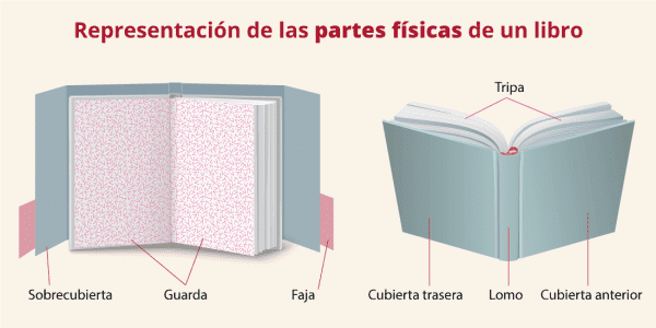 Partes de un libro. Conócelas.