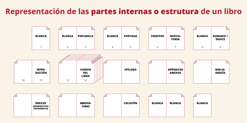Partes de un libro. Conócelas.