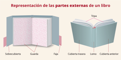 Conoce las principales partes de un libro 📕