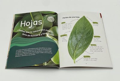 Cuaderno del pequeño explorador. Cuidando la naturaleza.